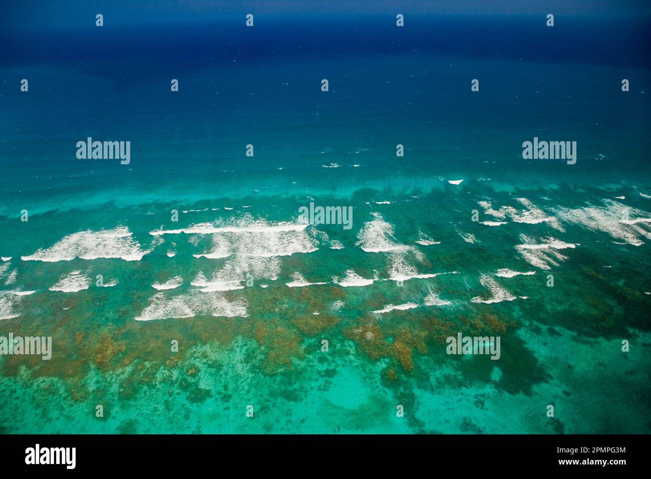Aerial view off the coast of Ambergris Caye; Ambergris Caye, Belize ...
