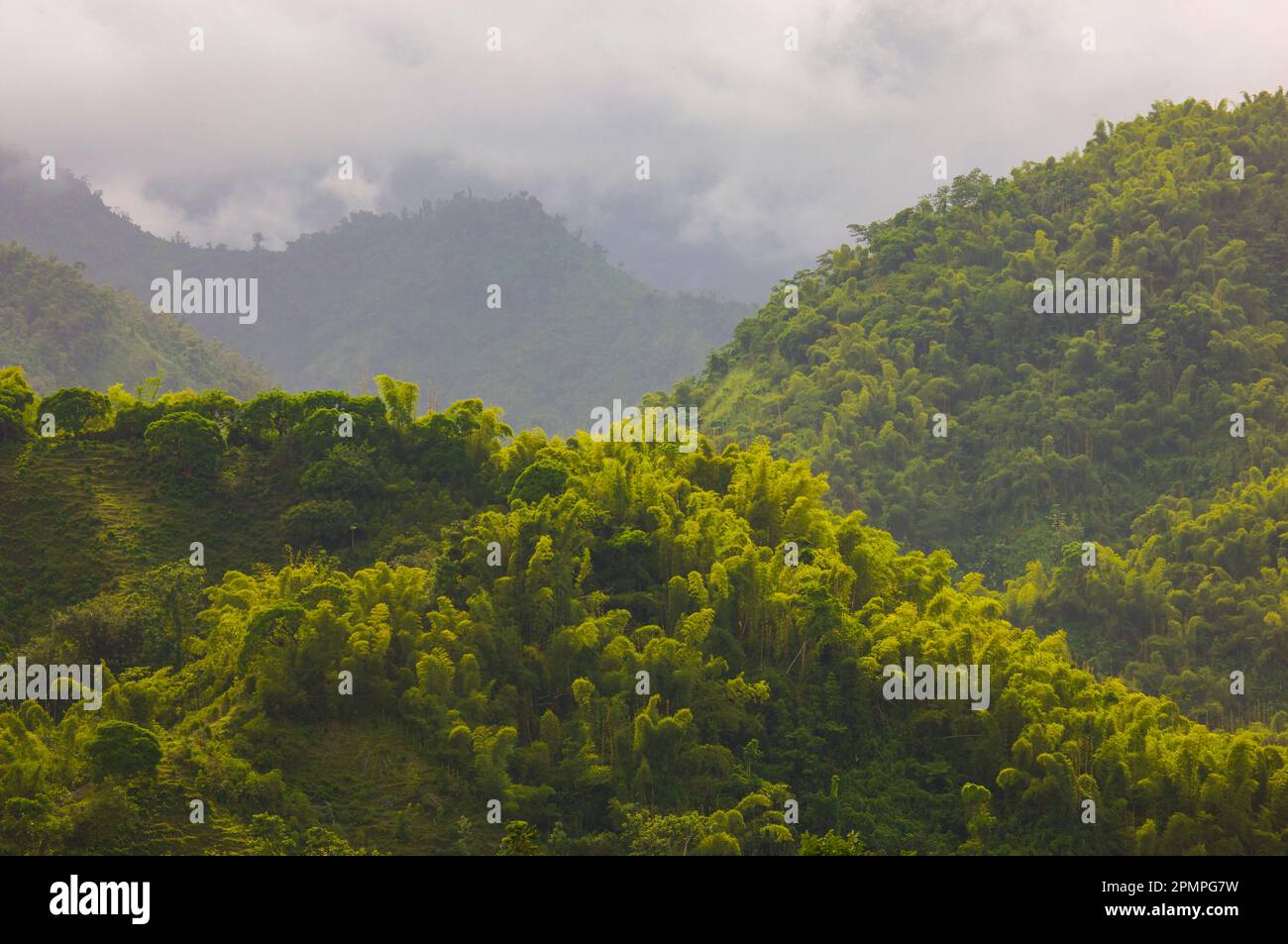Lush green hills along road to Moore Town, Jamaica; Moore Town, Port ...
