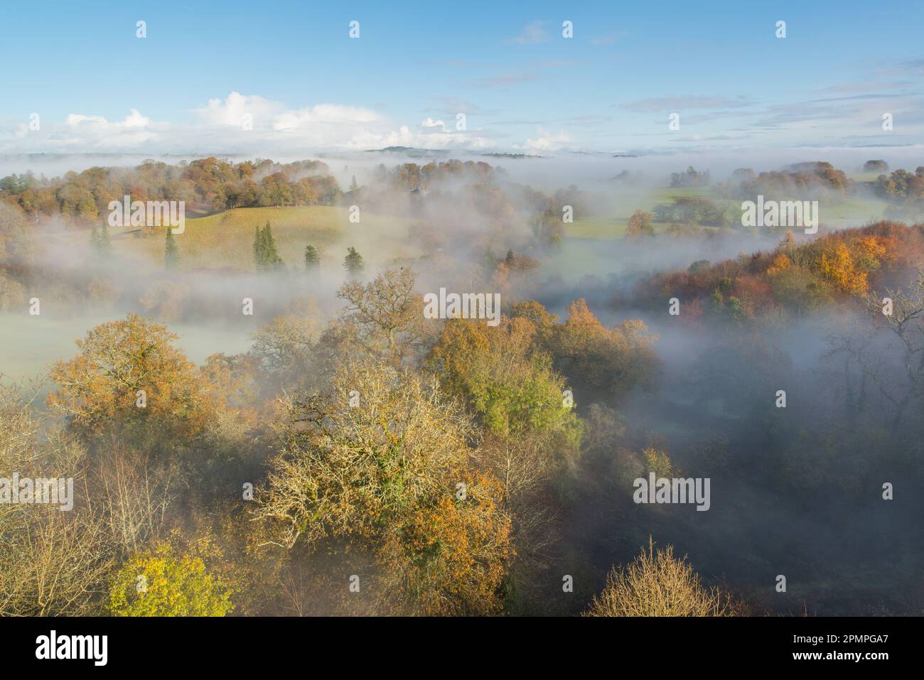 View of Newton House and Dinefwr Park from Dinefwr Castle with low ...