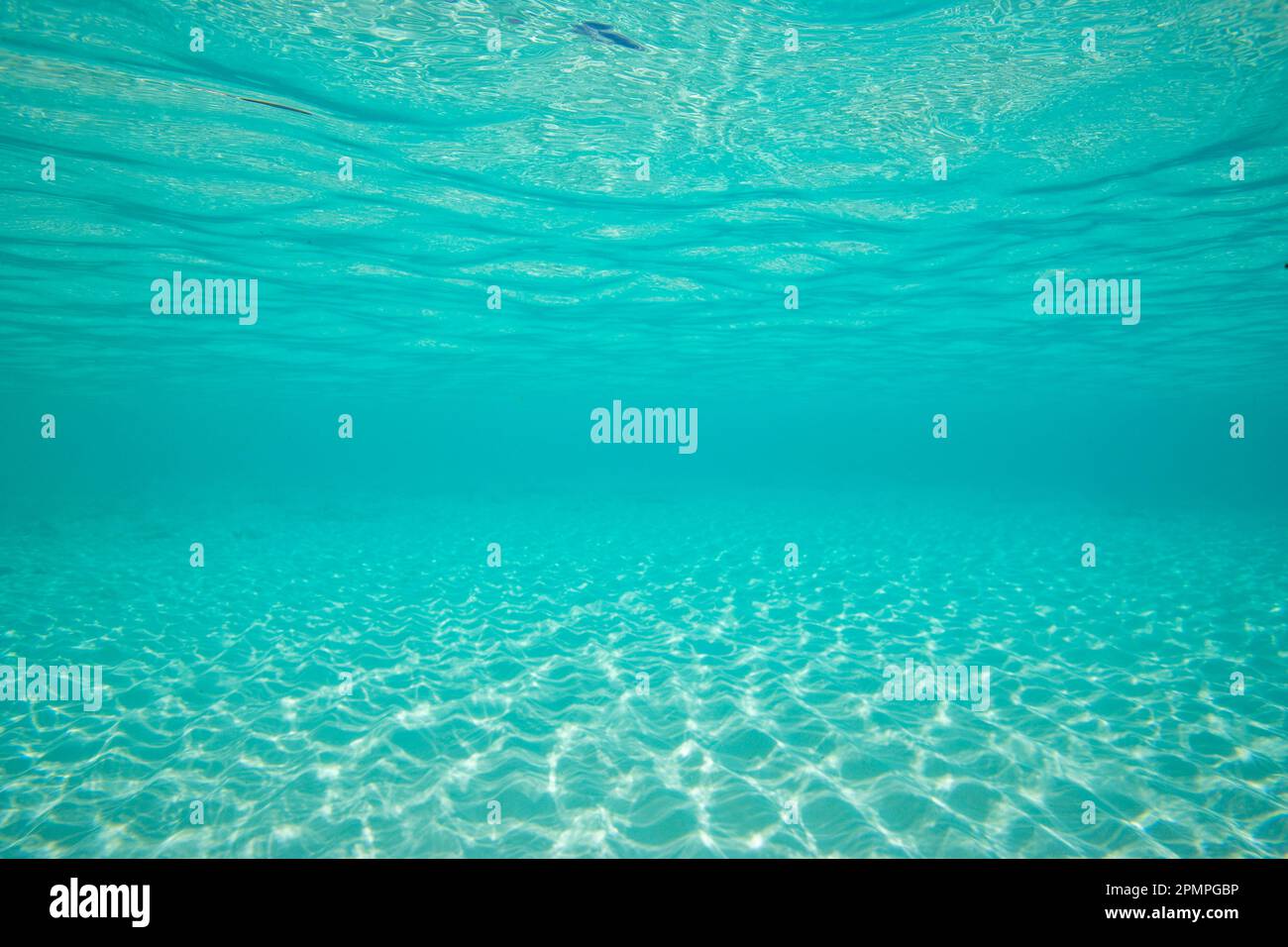 An underwater shot of clear blue water and white sand Stock Photo - Alamy