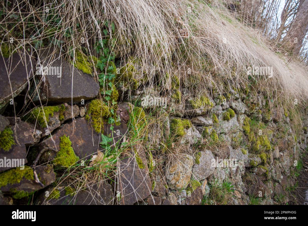 Wall natural hi-res stock photography and images - Alamy
