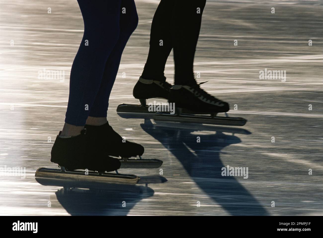 Olympic Speed Skating Legs