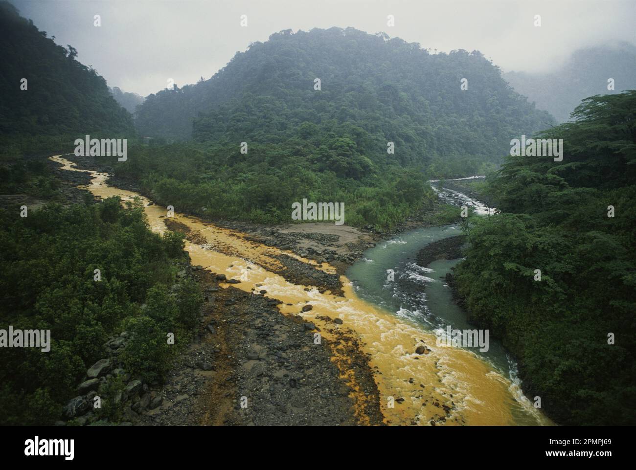 Soil erosion in a rainforest in Costa Rica; Costa Rica Stock Photo - Alamy