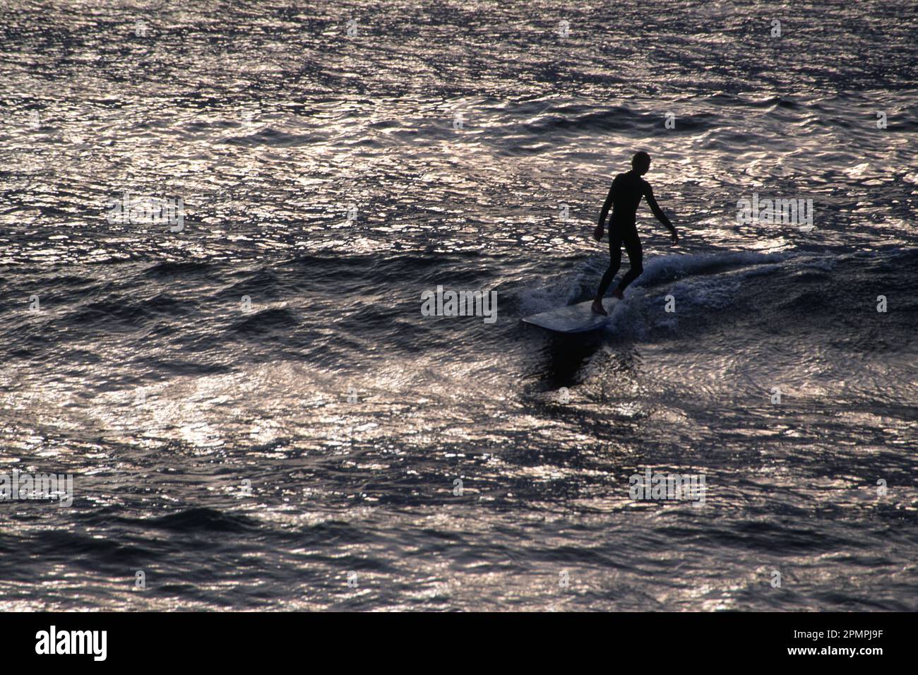 Surfer at twilight in silvery shimmering water; Pacific Beach, San ...