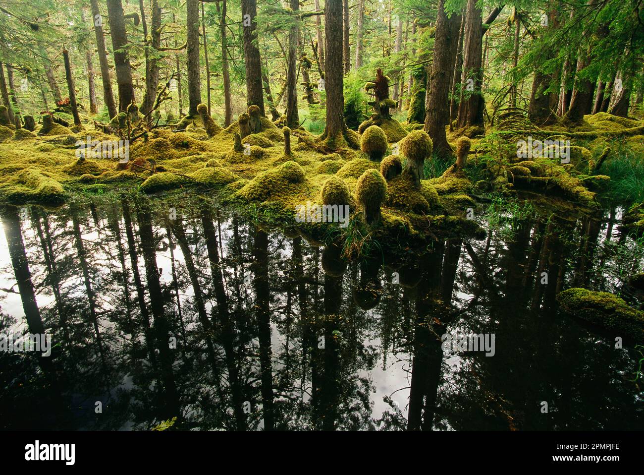 Nailoon park hi-res stock photography and images - Alamy