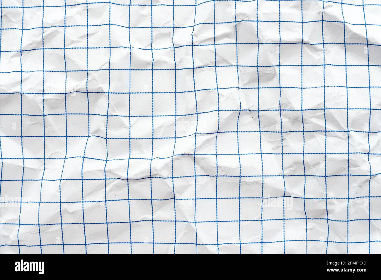 Texture of crumpled paper in a cage. Office. Business. Notebook Stock ...