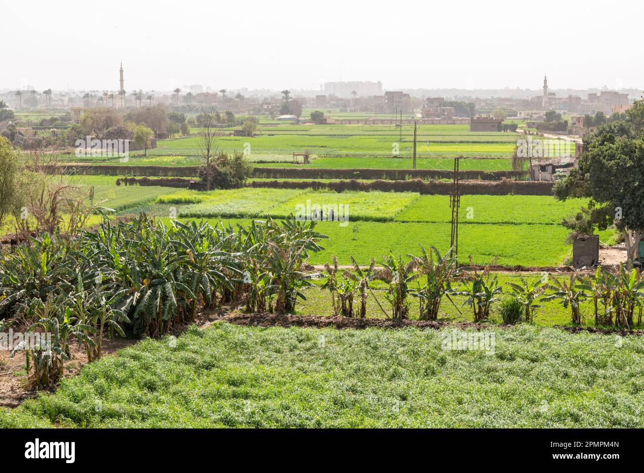 Egypt river nile farmland hi-res stock photography and images - Alamy