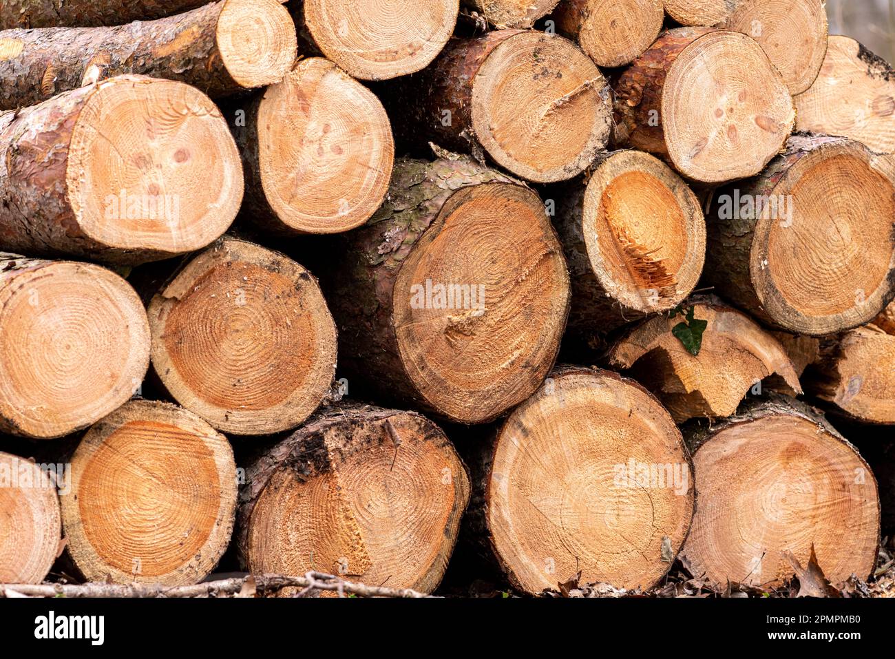 A pile of wooden logs in a neat stack, arranged in a symmetrical ...