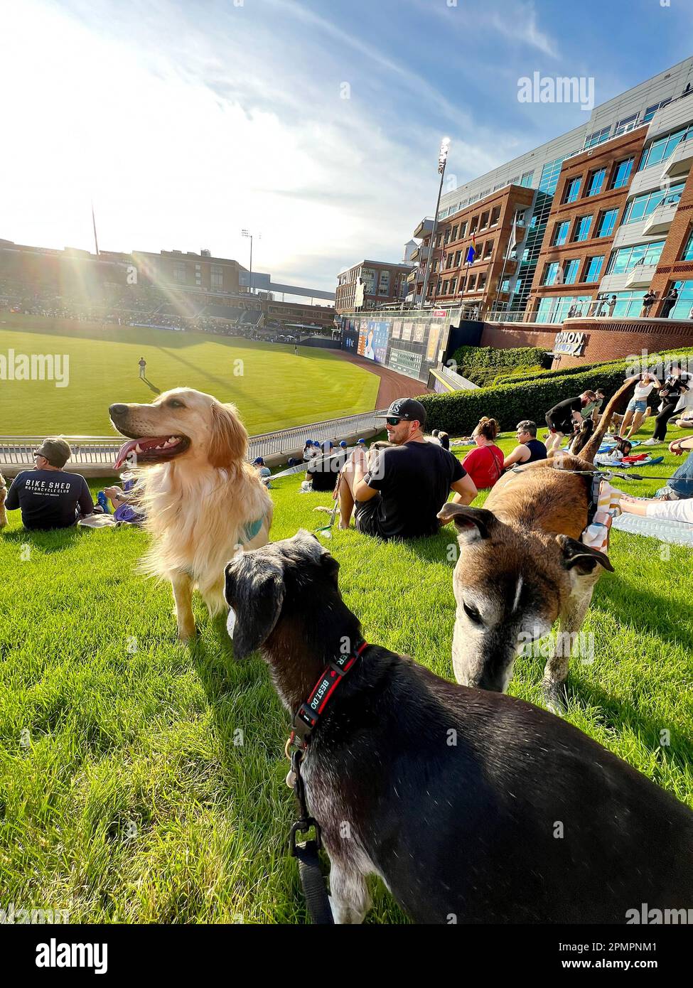 Durham, North Carolina, USA. 13th Apr, 2023. Dogs and their humans ...