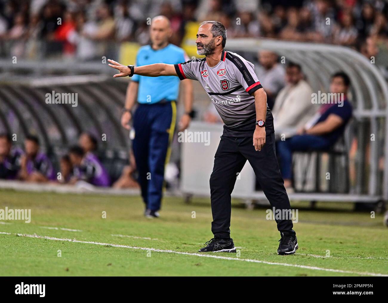 Rogerio zimmermann hi-res stock photography and images - Alamy