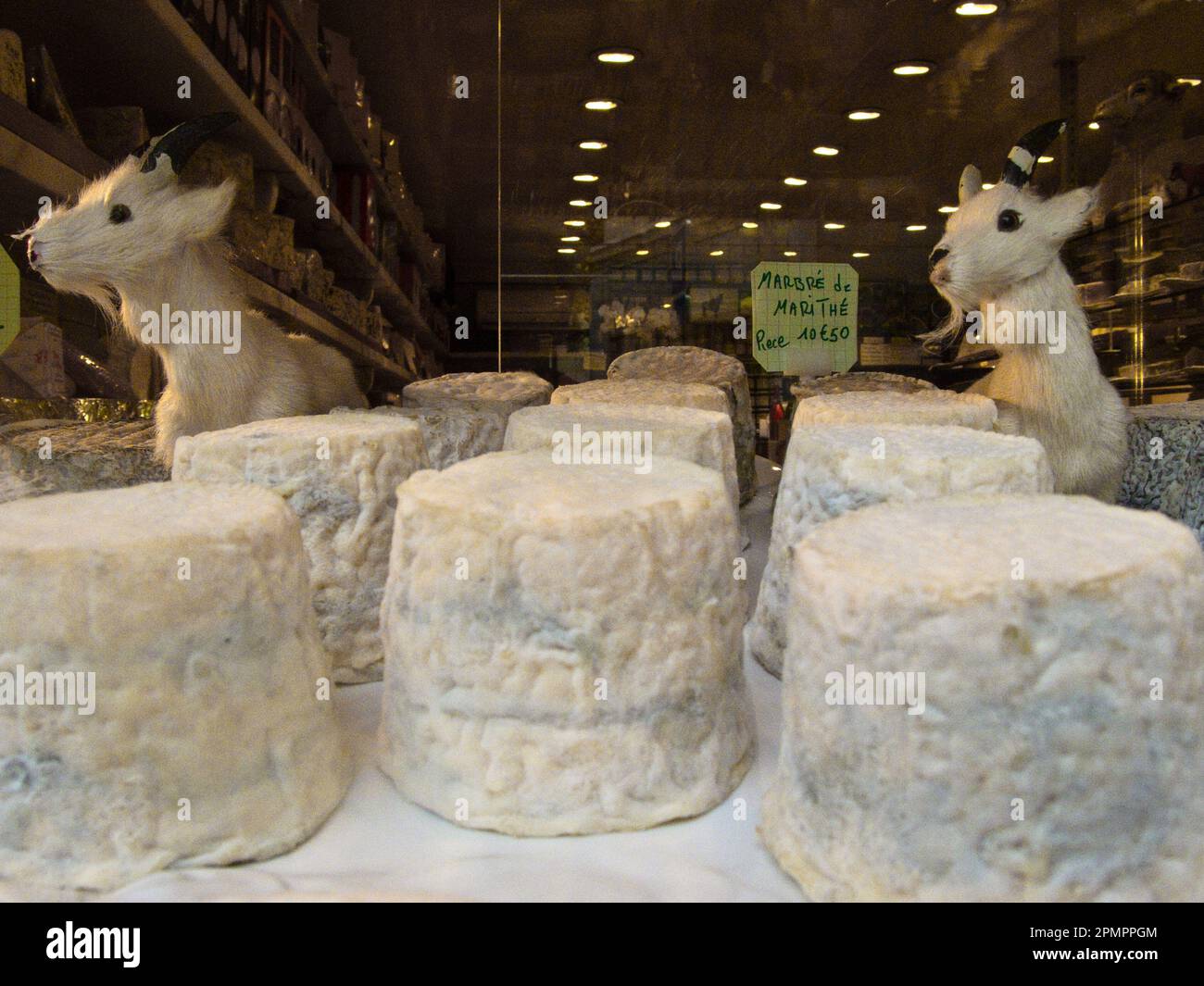 Goat cheese in window of cheese shop, Barthelemy, 51 Rue Grenelle ...