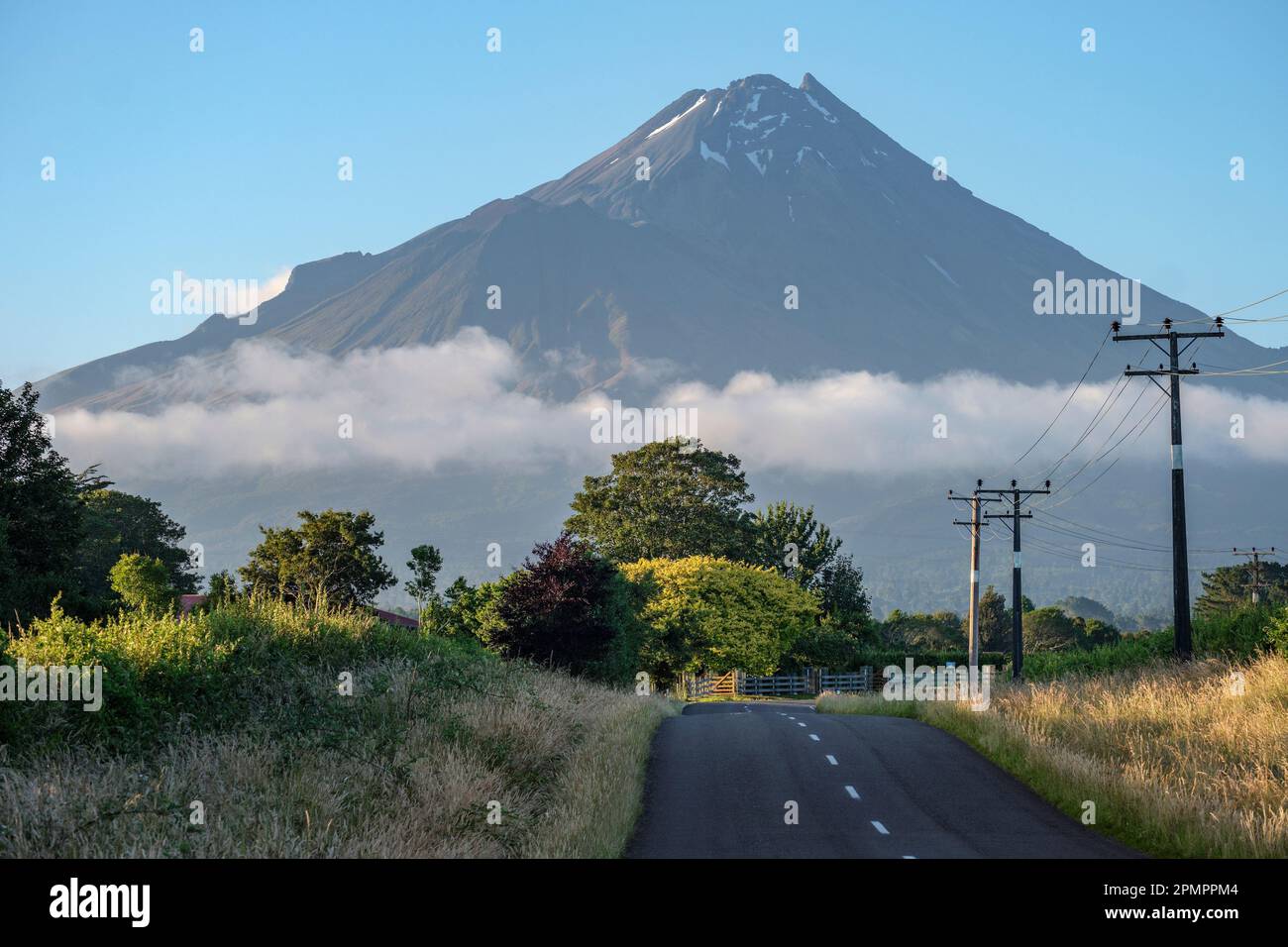 The road to Mt Taranaki in evening light, near Kaponga, North Island ...
