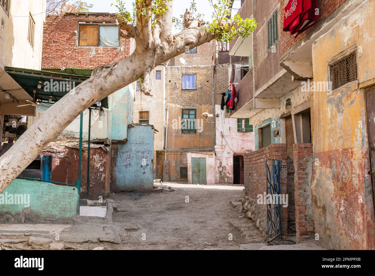 A poor urban housing area in Cairo, Egypt Stock Photo - Alamy