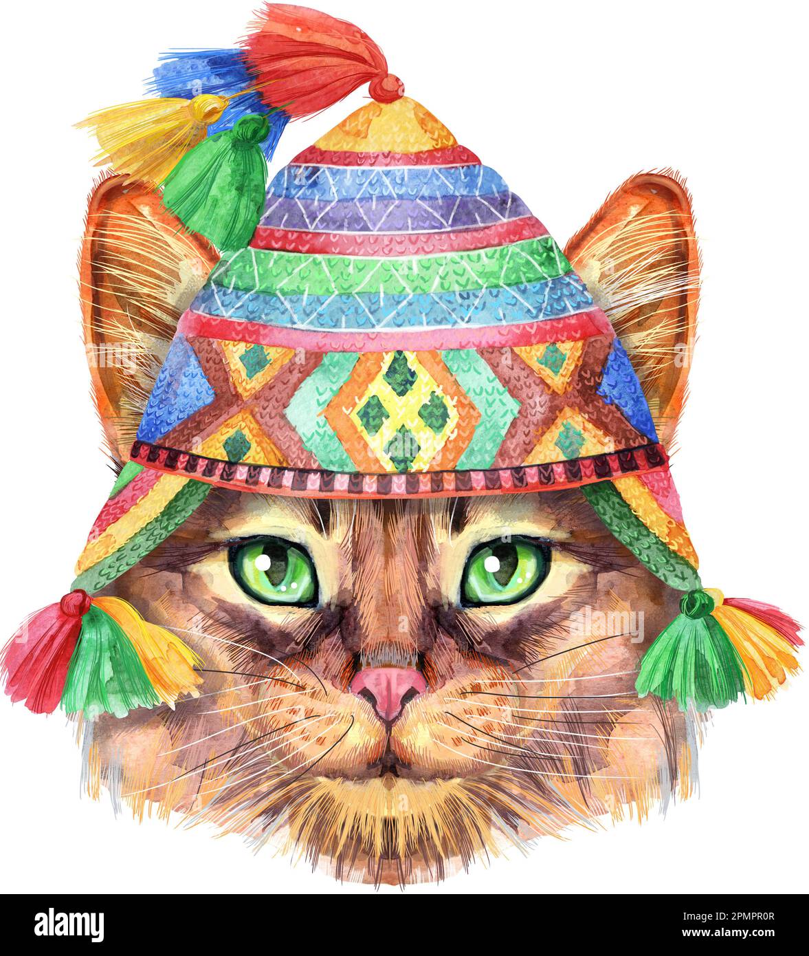 Cute cat in Peruvian National Chulo hat. Cat for t-shirt graphics ...