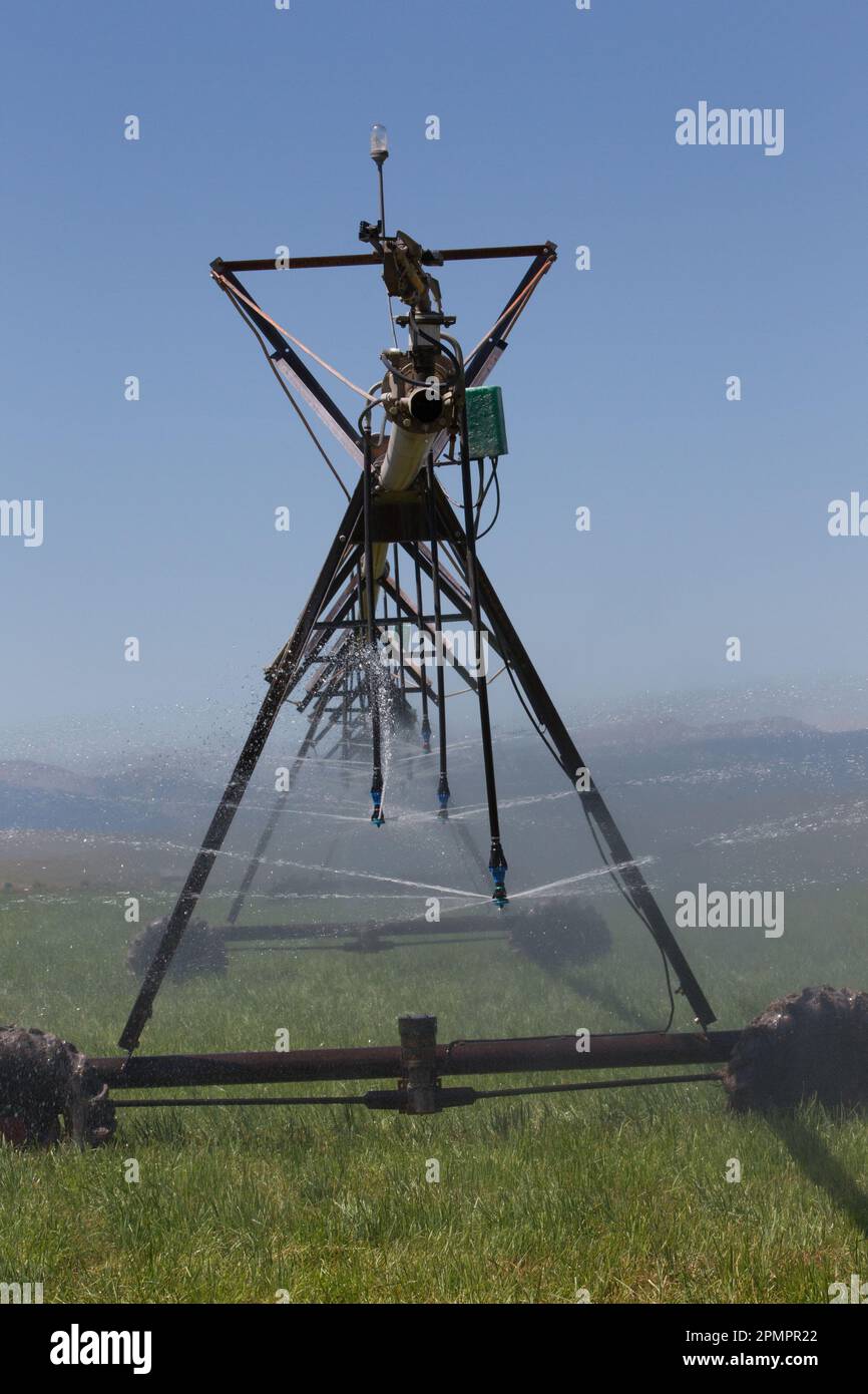 A center-pivot irrigation system sprays water on a grain field, Rocky ...