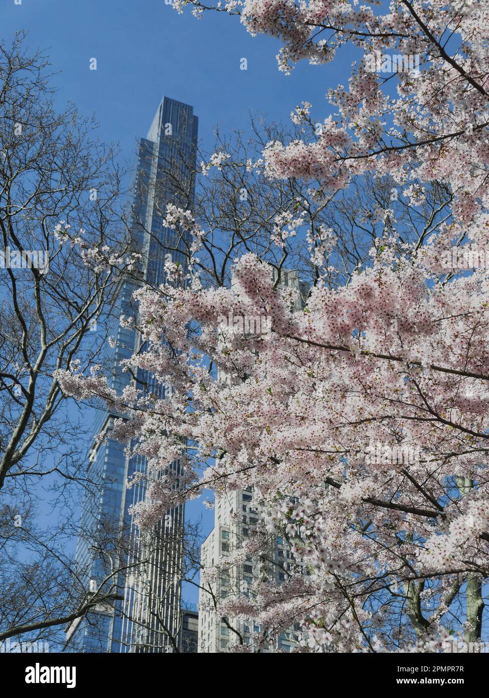 Central Park, New York, spring time Stock Photo - Alamy