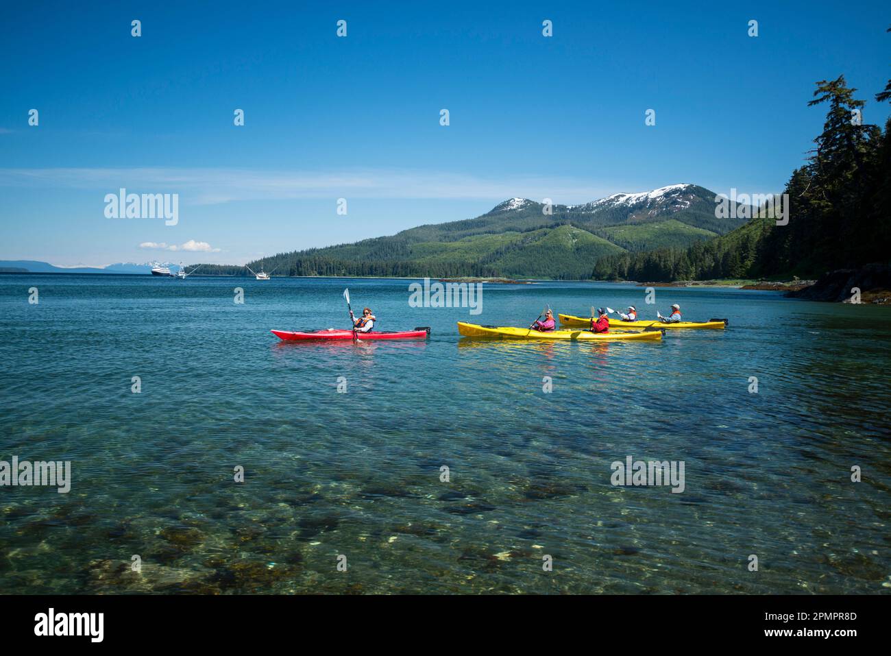 Kayaking in Pavlof Harbor, Inside Passage, Alaska, USA; Alaska, United ...