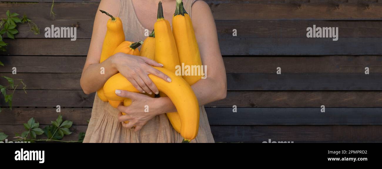 Eco-friendly concept with organic farm vegetables in the hands of a ...