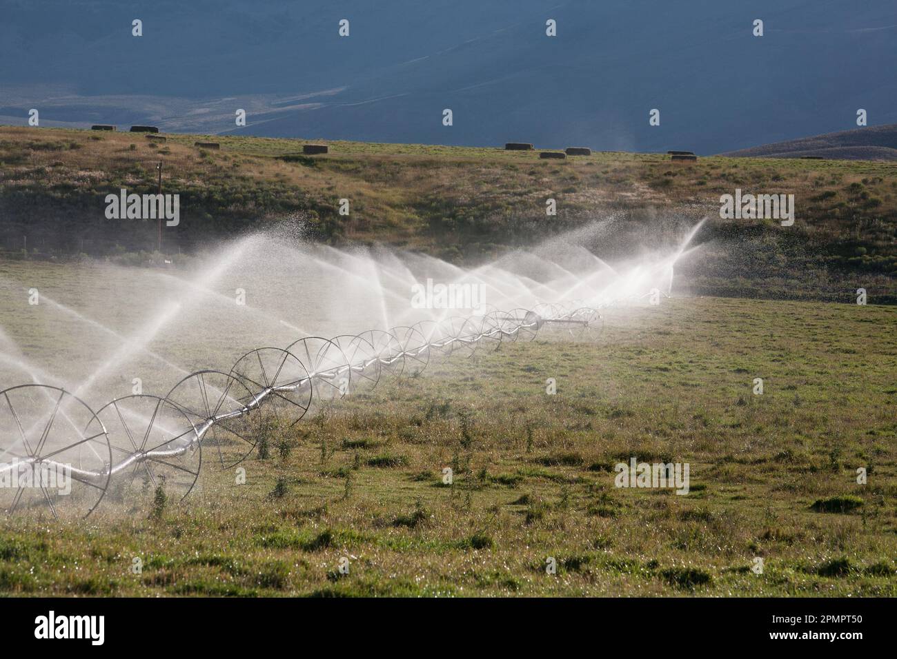 Sprinkler Systems For Hay Fields