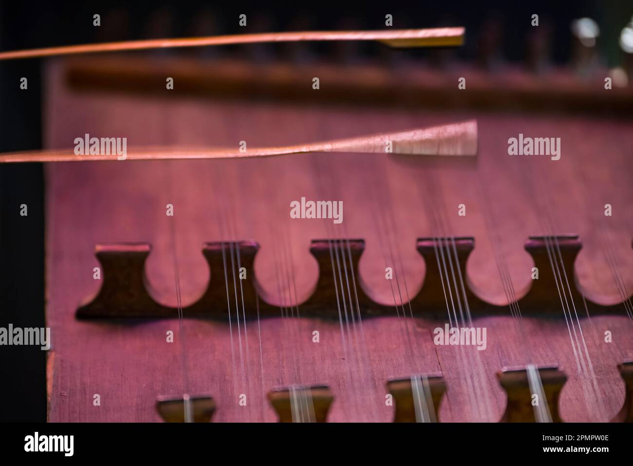 Musical instrument stringed hi-res stock photography and images - Alamy