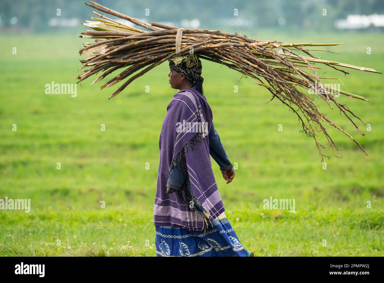 Woman In Traditional Garb Carrying A Bundle Of Sticks On Her Head