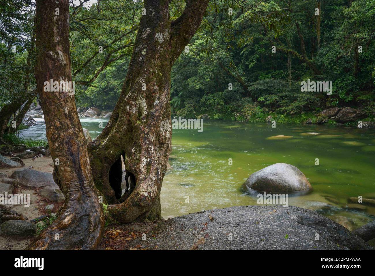 A scenic landscape featuring a river running through a lush forest ...