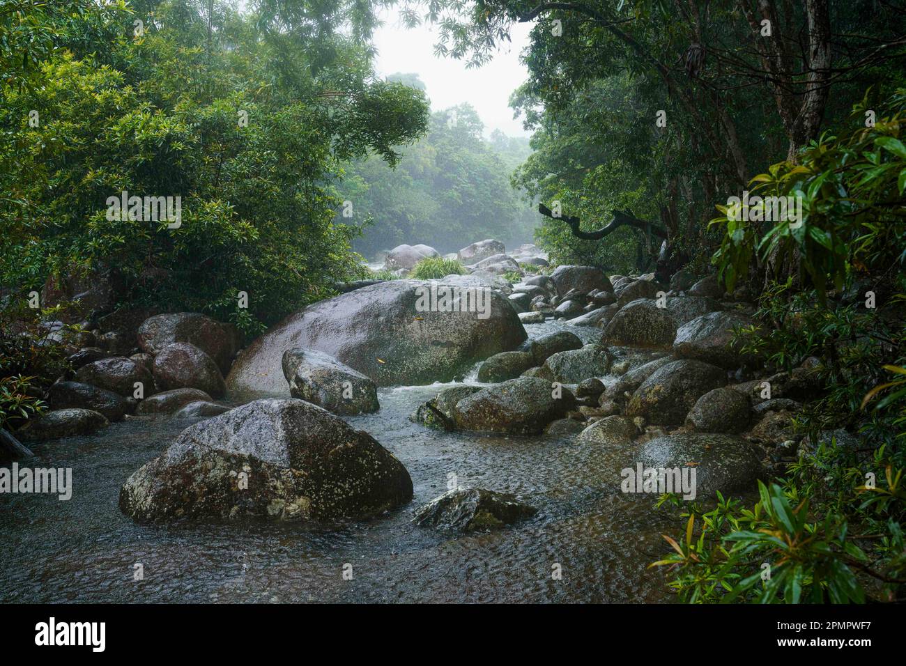 A scenic landscape featuring a river running through a lush forest ...