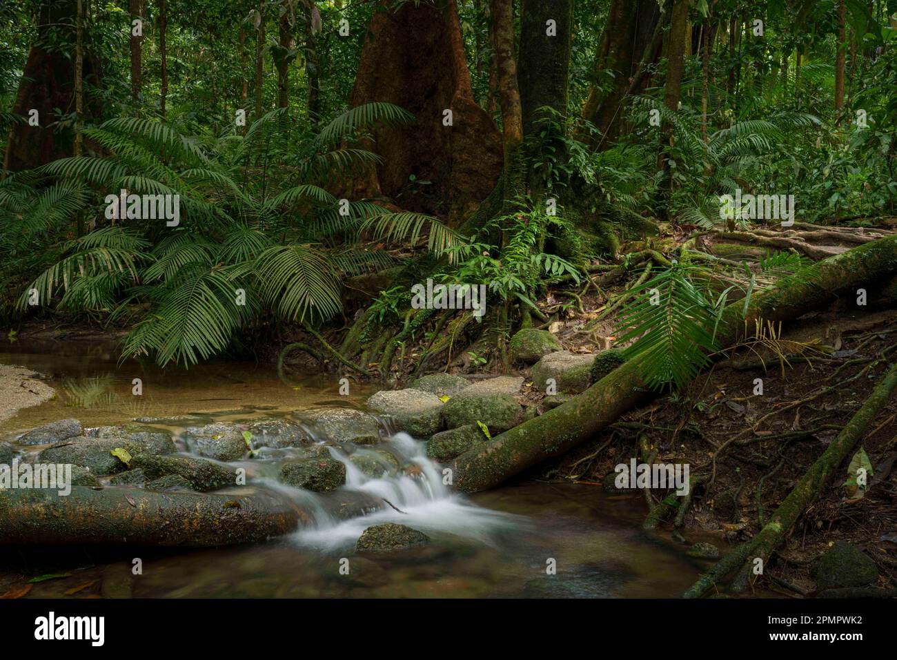A scenic landscape featuring a river running through a lush forest ...