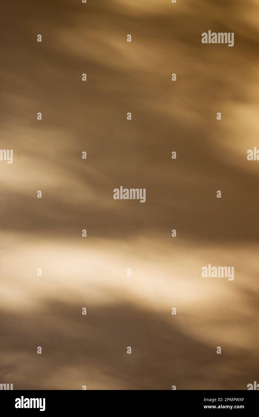 Abstract shadow on the wall, sunset light, overlay or summer background ...