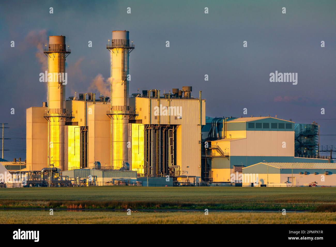 Generating plant hi-res stock photography and images - Alamy