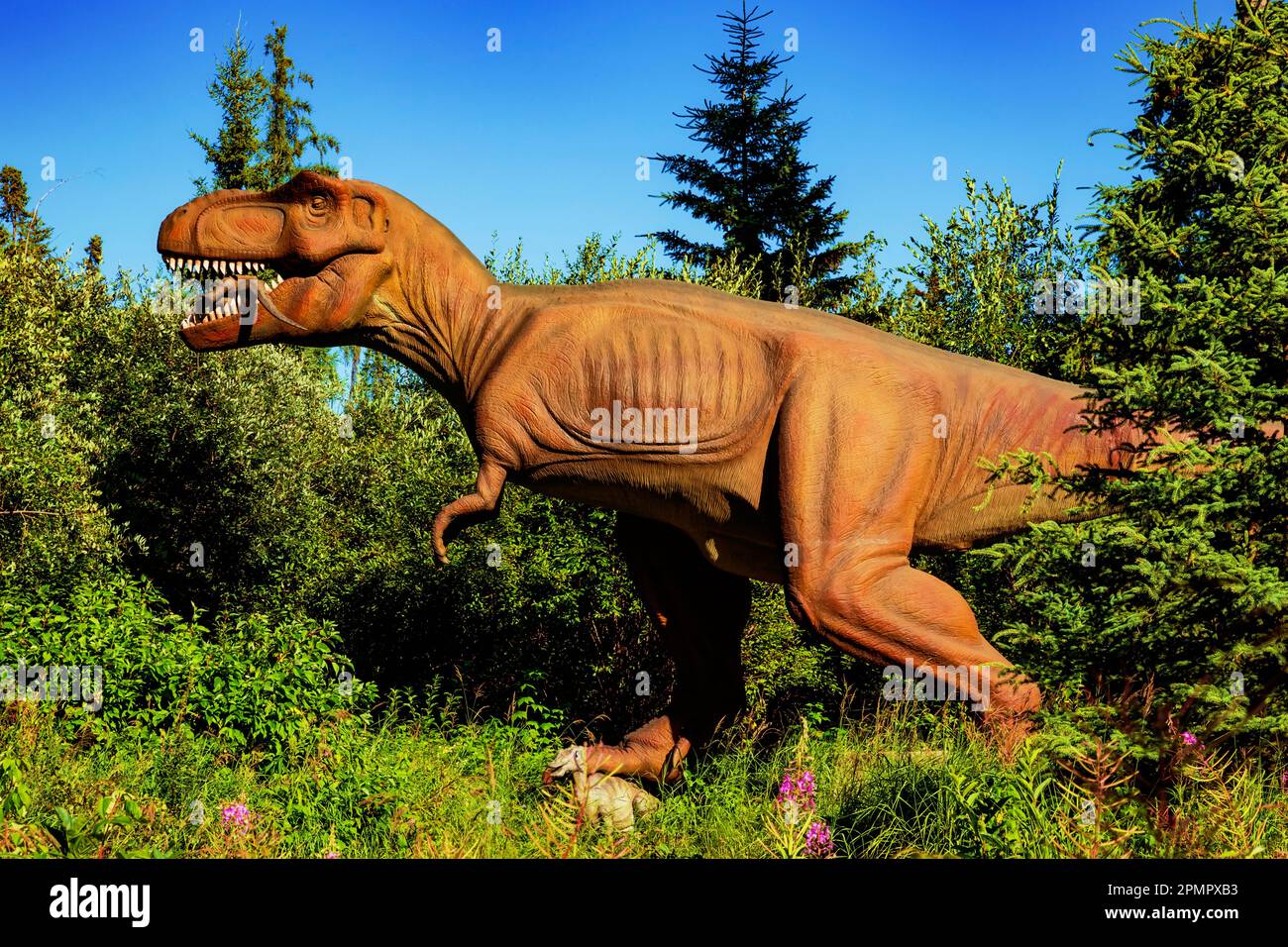 A Tyrannosaurus Rex at Jurrasic Forest, a tourist attraction with ...