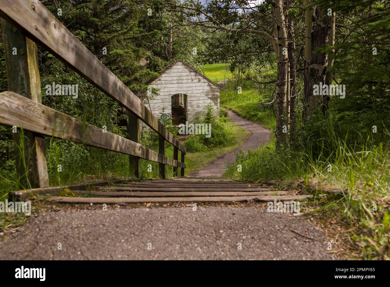 Ruins of an old abandoned building in the middle of the forest. Old ...