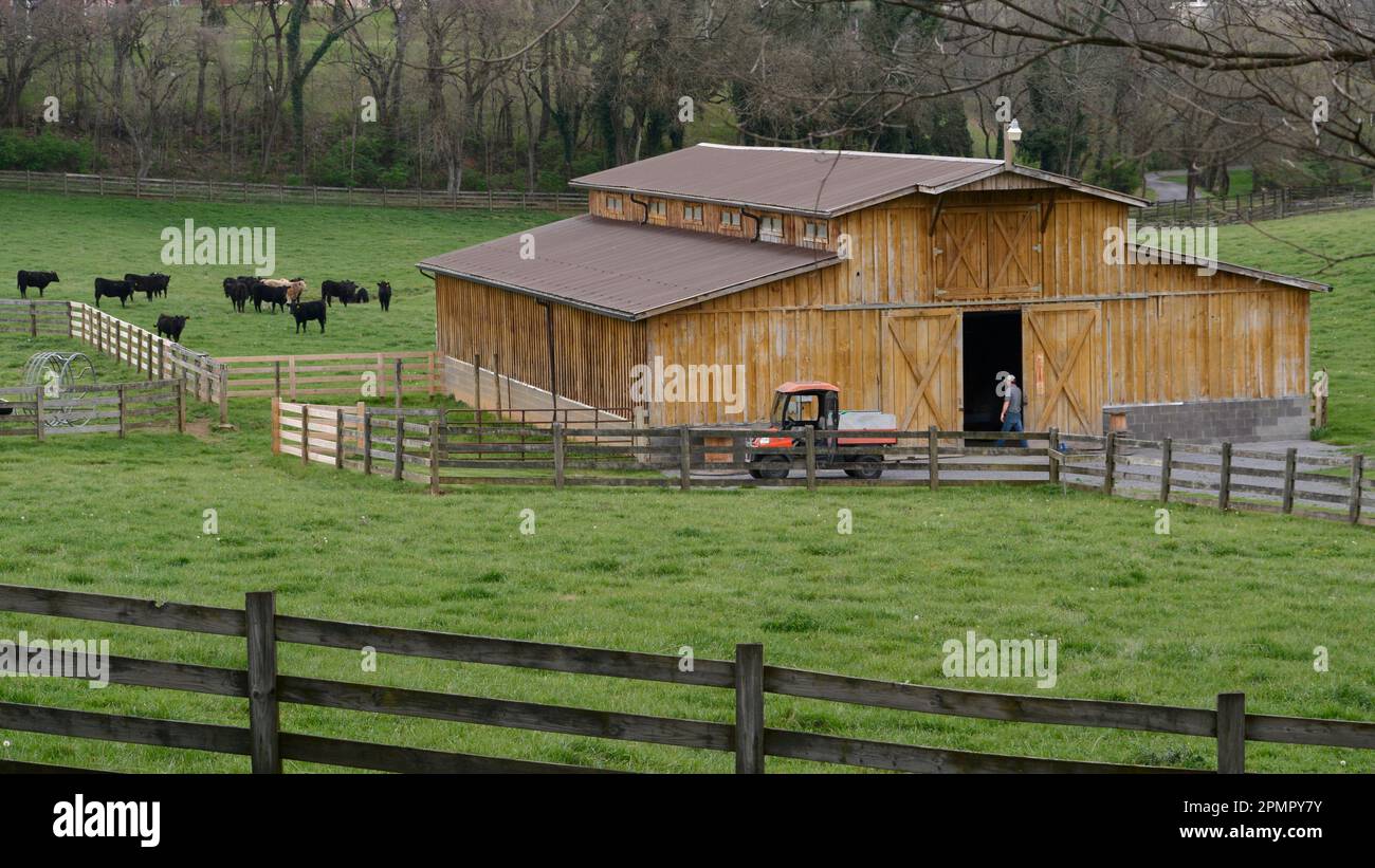 Cattle barns hi-res stock photography and images - Alamy