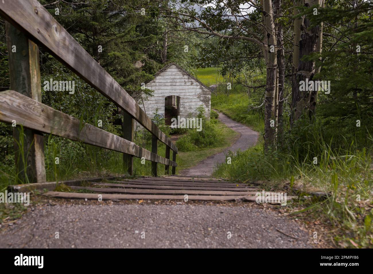 Ruins of an old abandoned building in the middle of the forest. Old ...
