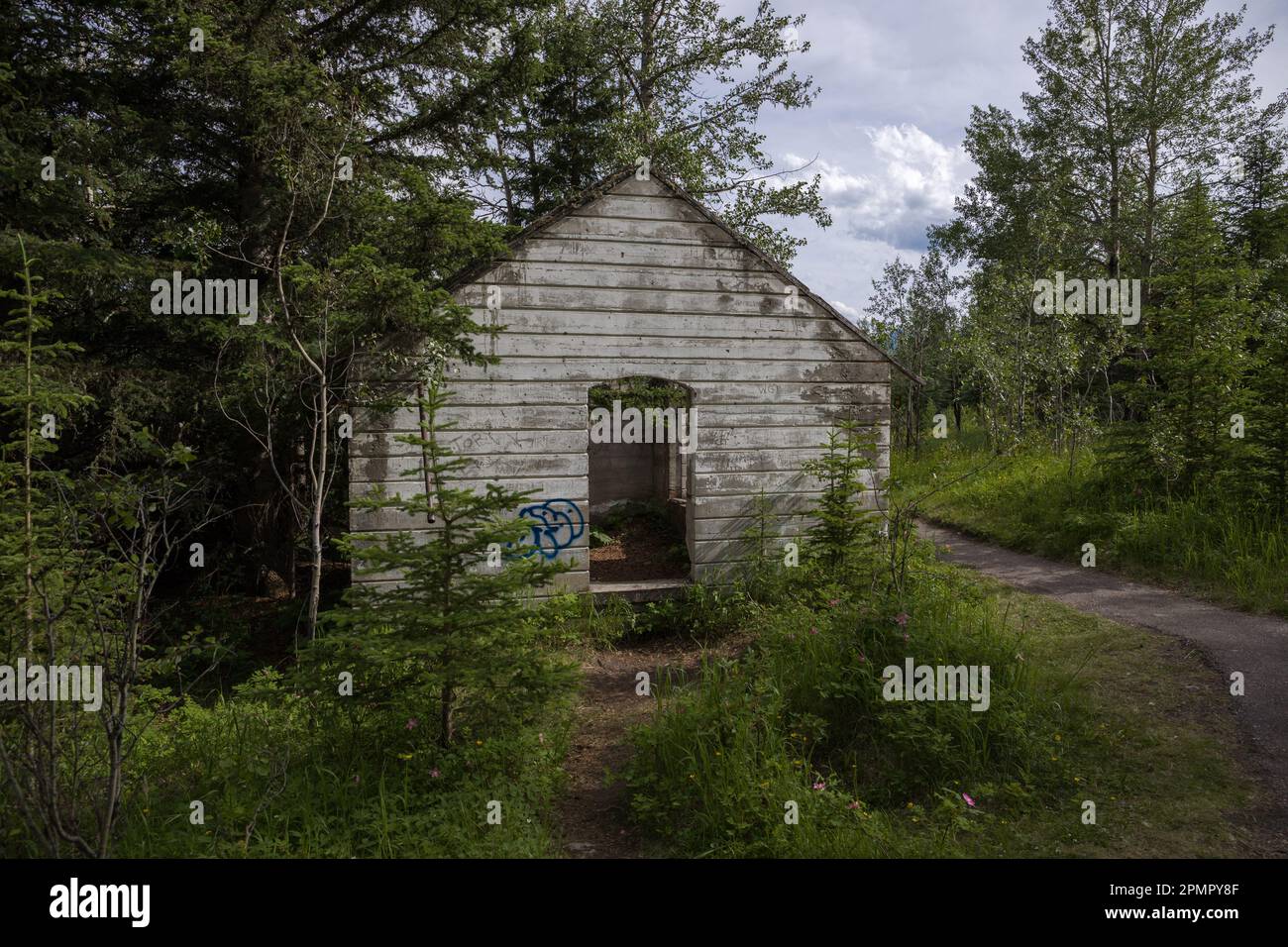 Ruins of an old abandoned building in the middle of the forest. Old ...