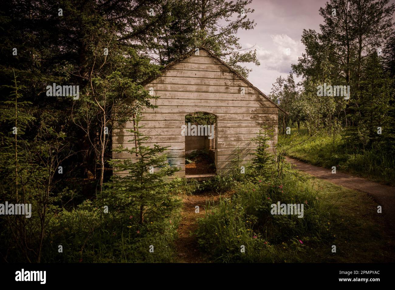 Ruins of an old abandoned building in the middle of the forest. Old ...