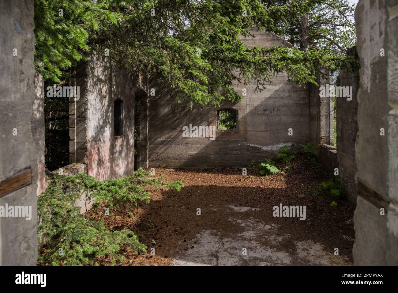 Ruins of an old abandoned building in the middle of the forest. Old ...