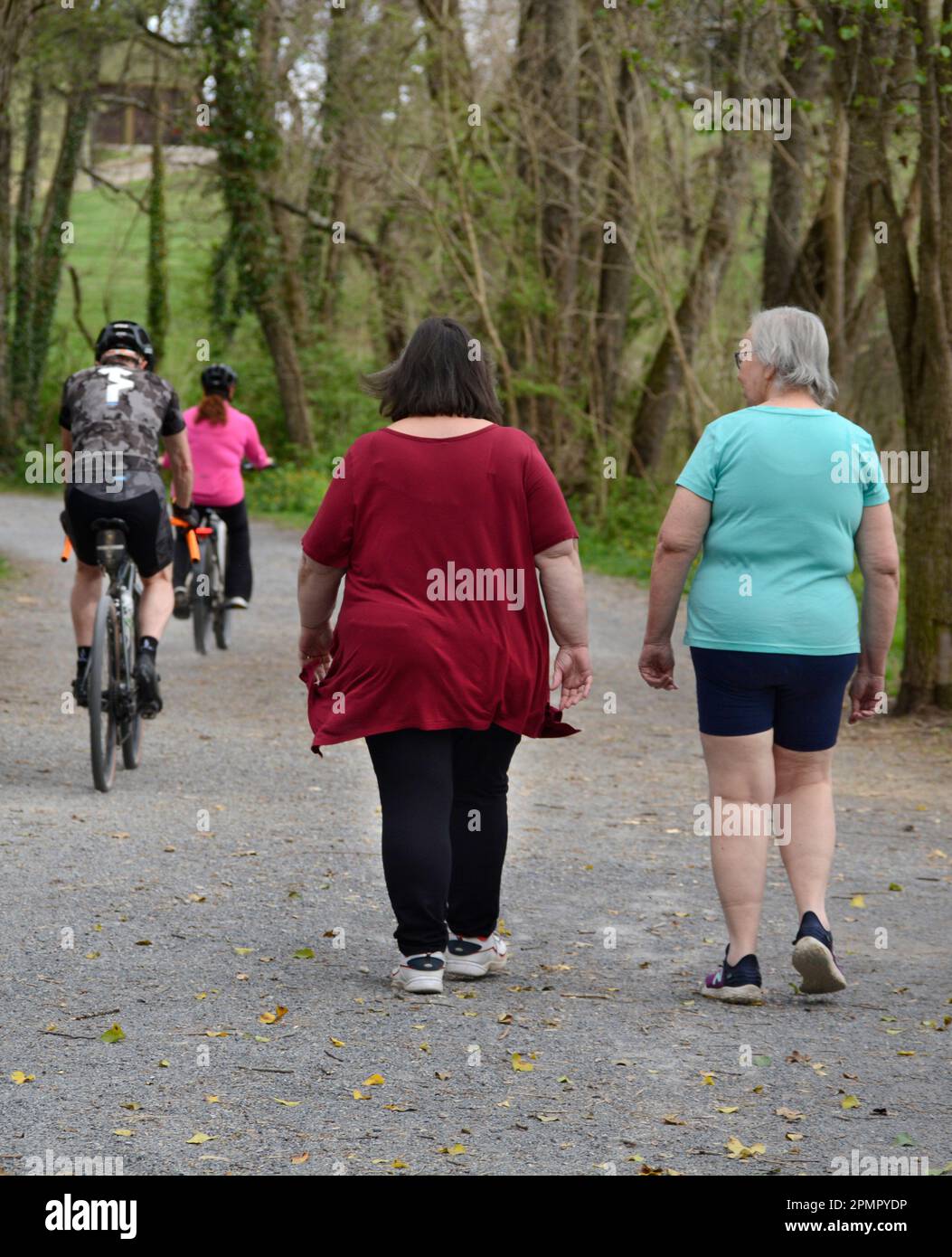 Overweight exercise bicycle hi-res stock photography and images - Alamy