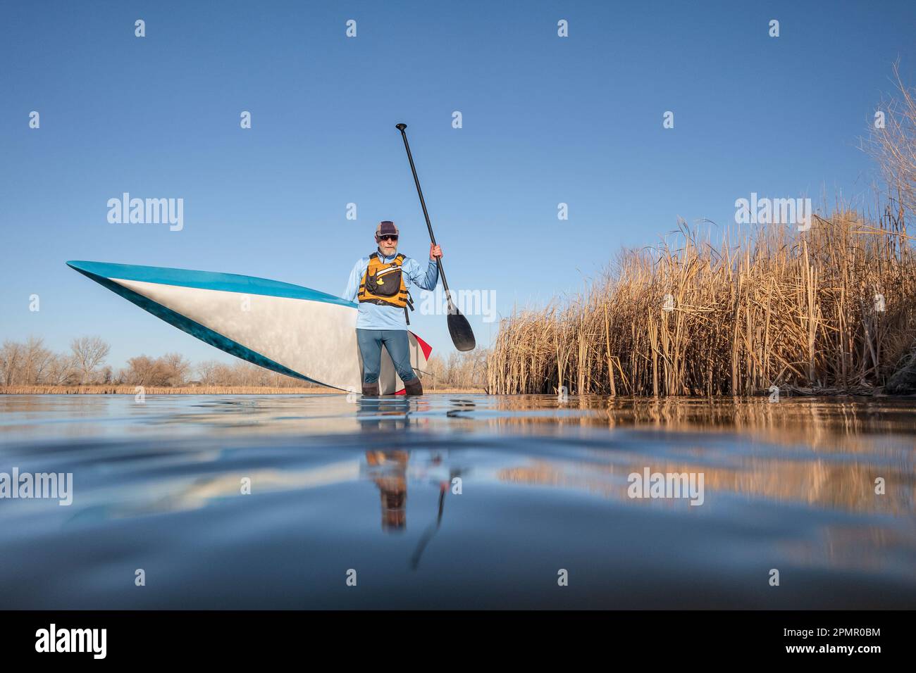 senior male paddler is launching a stand up paddleboard on a calm lake ...