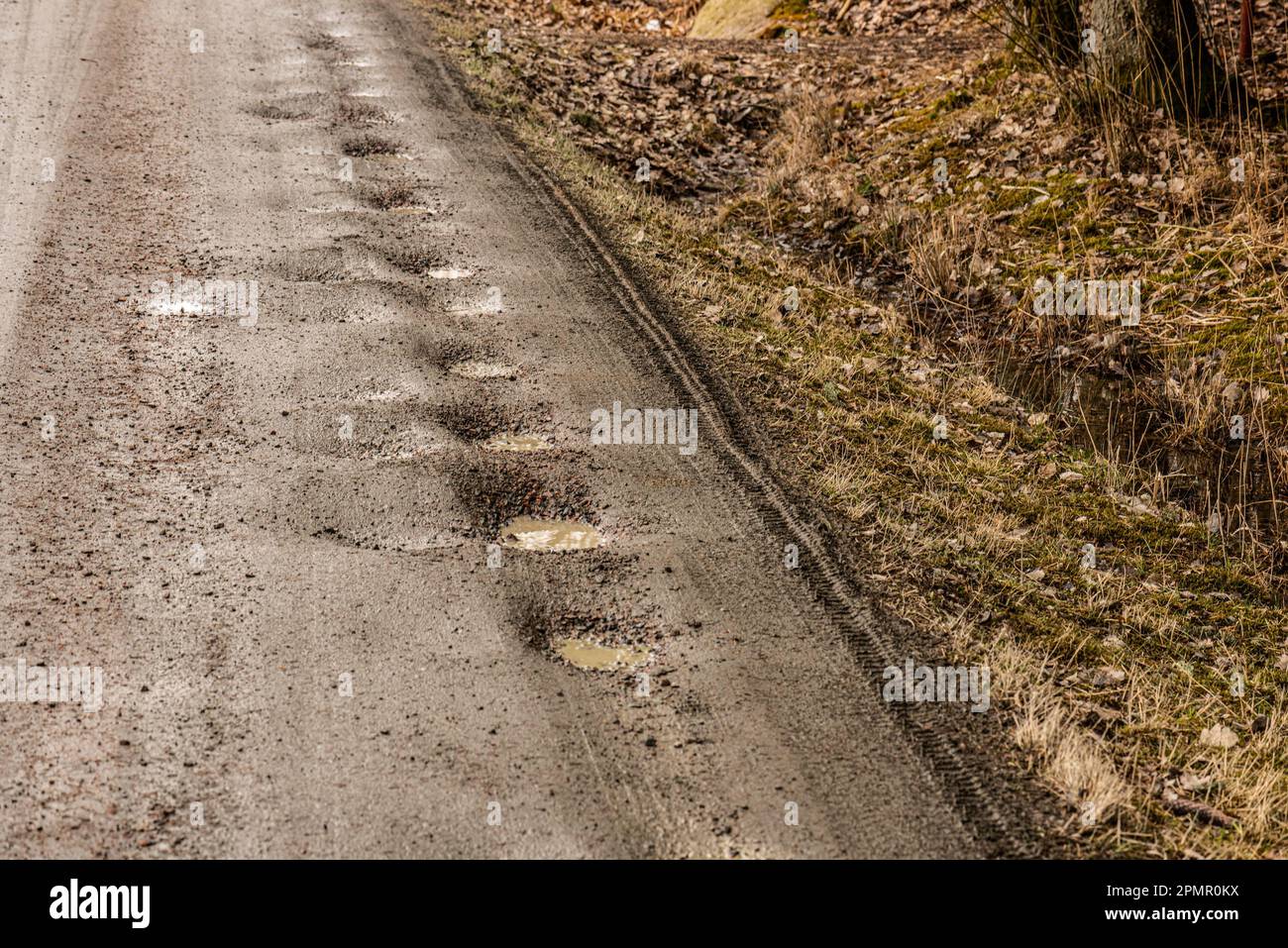 A row of potholes making the gravel road uncomfortable to drive on ...
