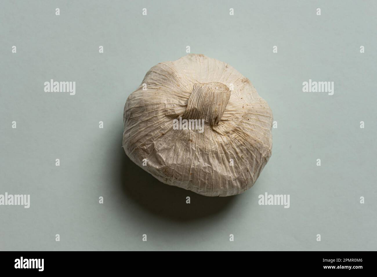 Garlic Allium sativum viewed from above Stock Photo - Alamy