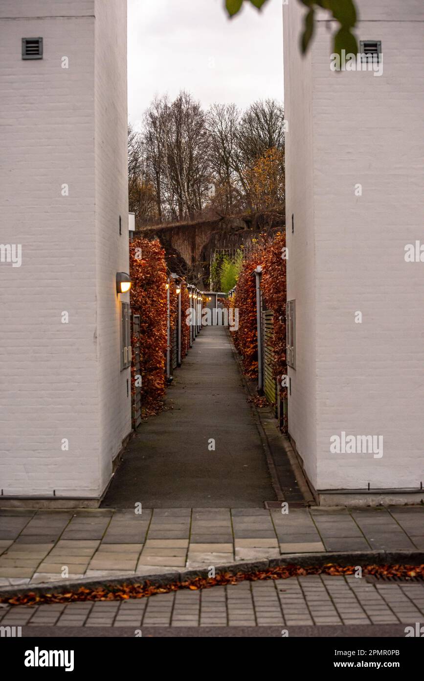 Narrow walkway between small backyards Stock Photo - Alamy