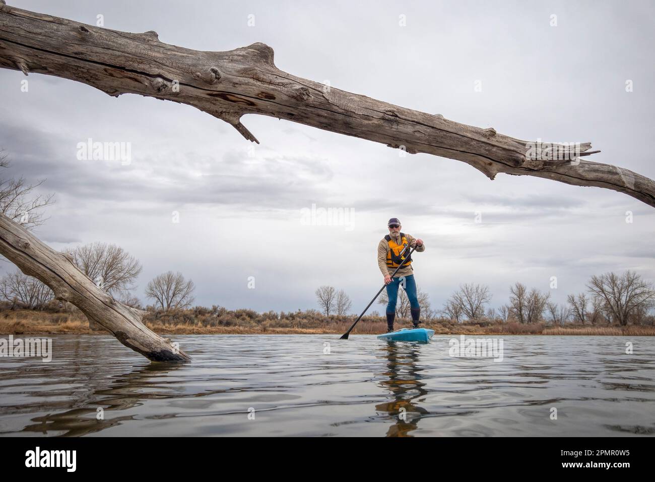 senior male paddling a stand up paddleboard on a lake in early spring ...