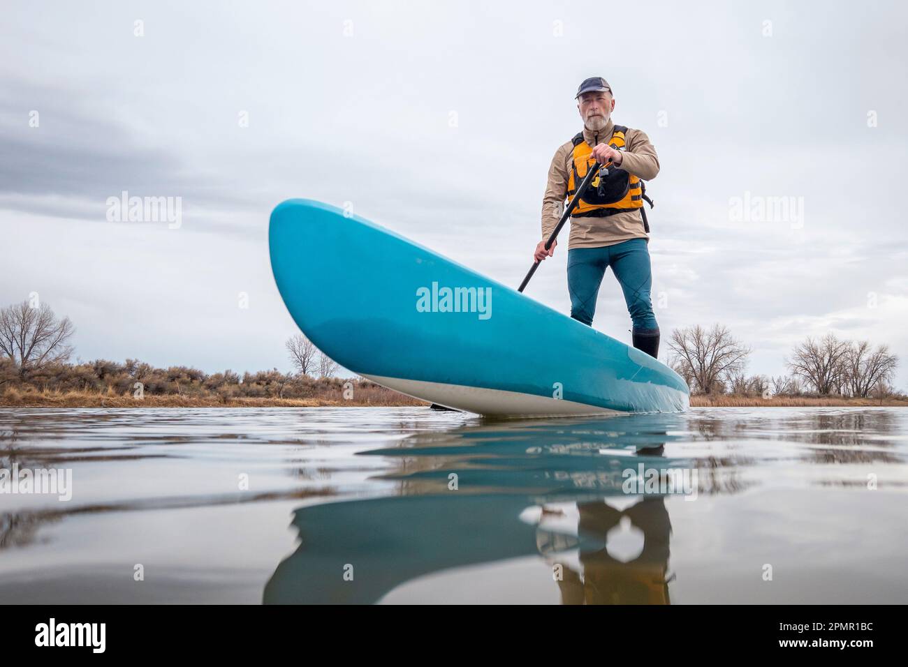solo senior male paddling a stand up paddleboard on a lake in early ...