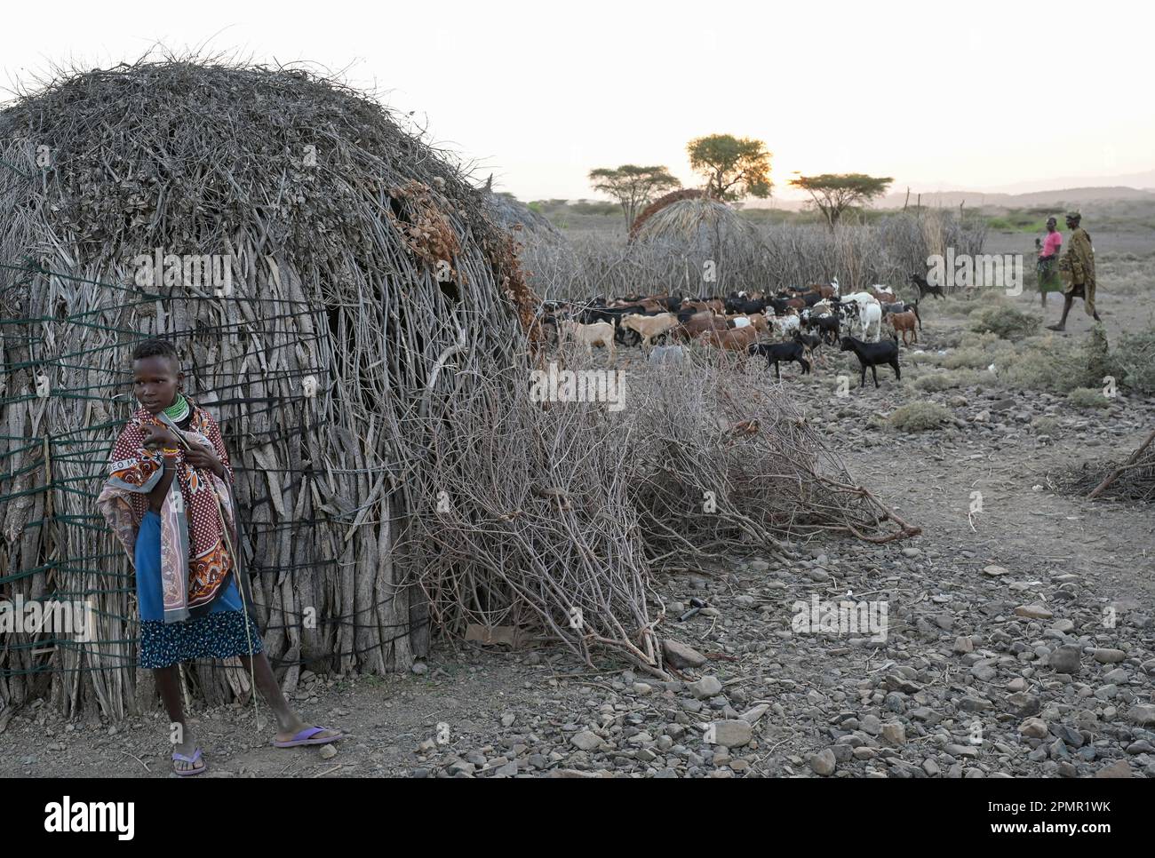 KENYA, Turkana, village Nariokotome, homestead of Turkana pastoral ...