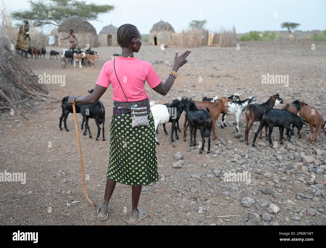 KENYA, Turkana, village Nariokotome, homestead of Turkana pastoral ...