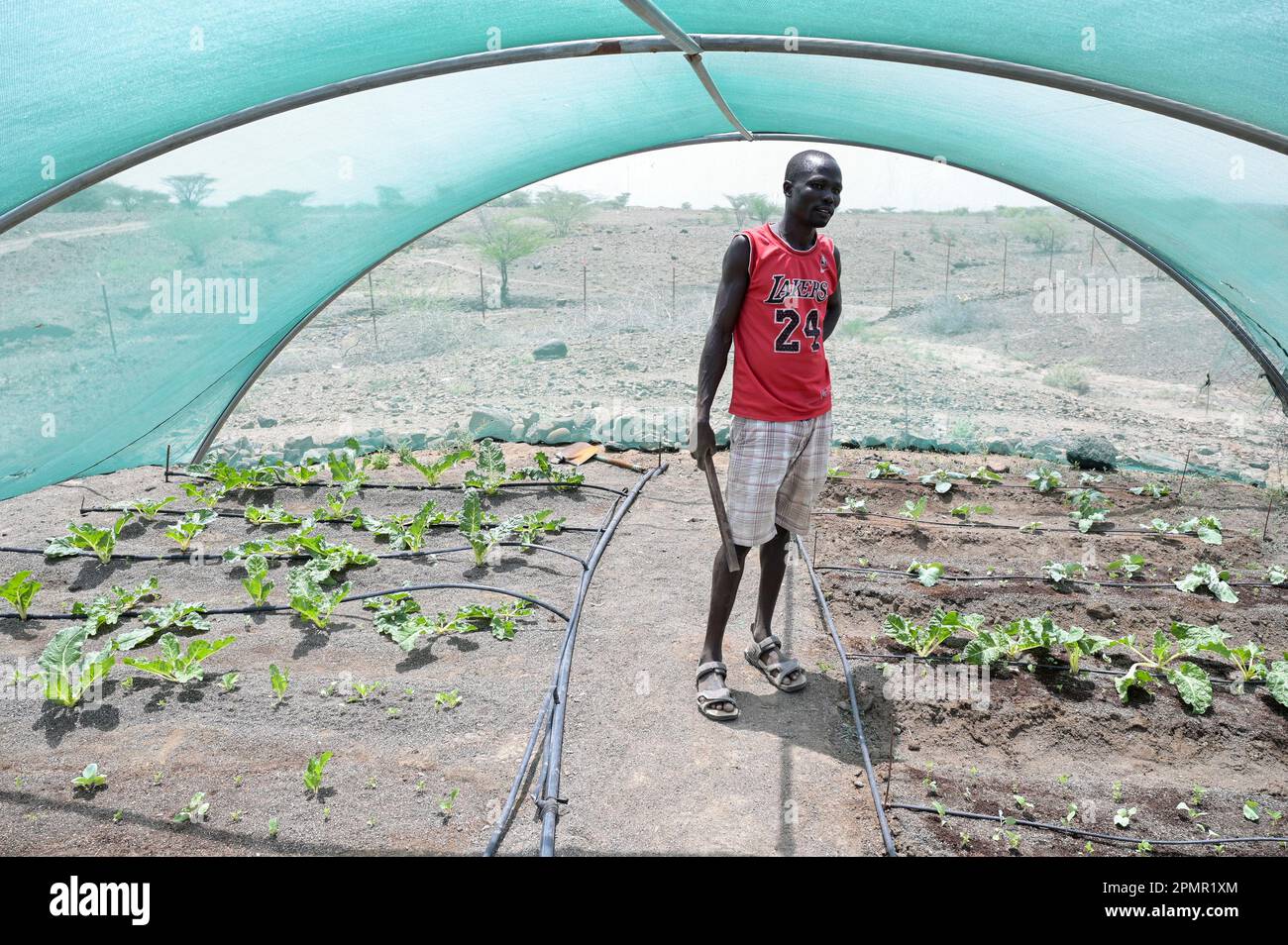 KENYA, Turkana, village Nariokotome, adaption of climate change ...