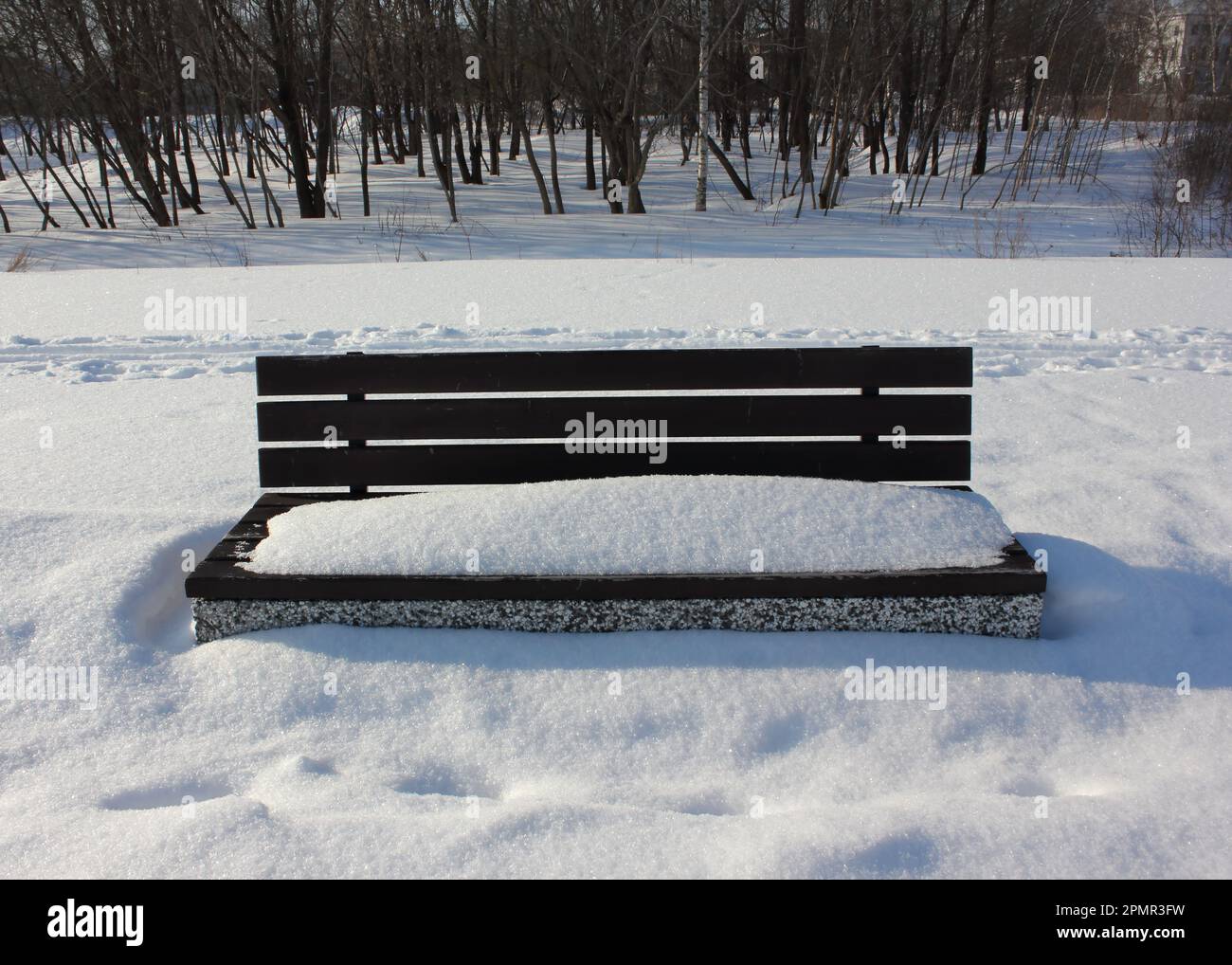 Snowy day bench trees hi-res stock photography and images - Alamy
