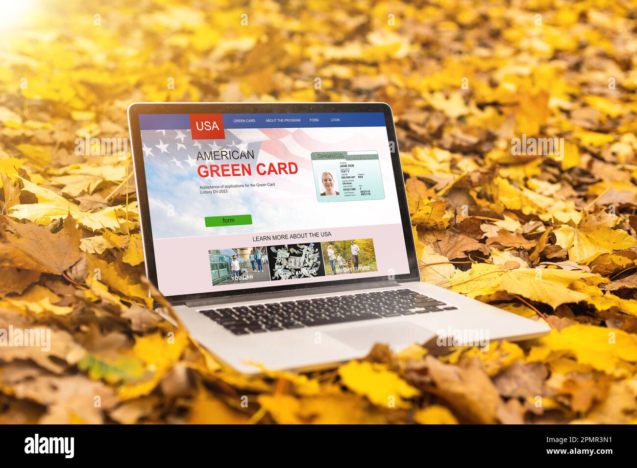 laptop with green cards technology Stock Photo - Alamy