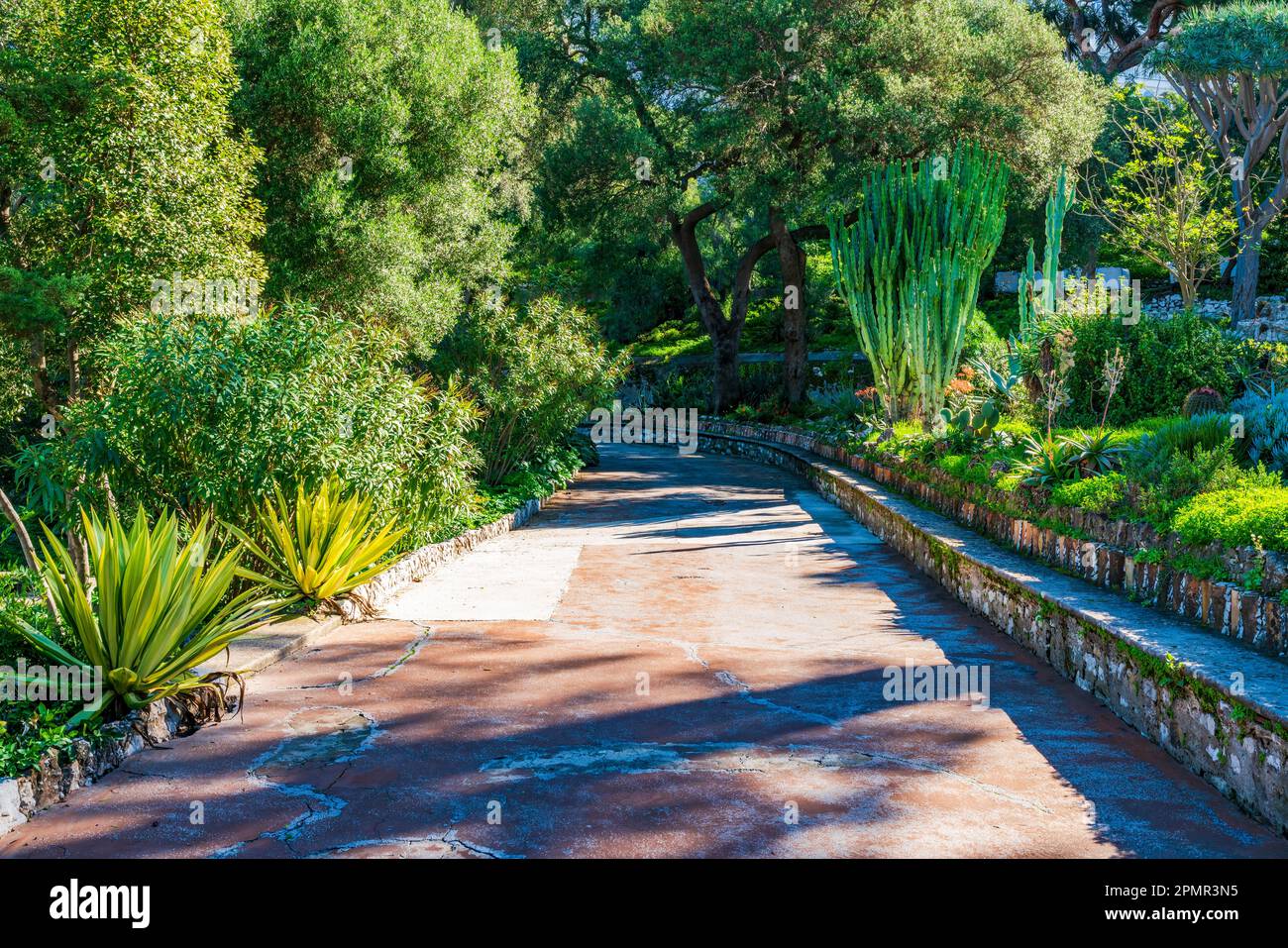 La Alameda botanical garden in Gibraltar town, UK Stock Photo - Alamy